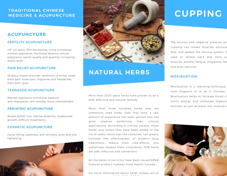 Annie Zhu, Acupuncturist, Burlington | Lumino Health